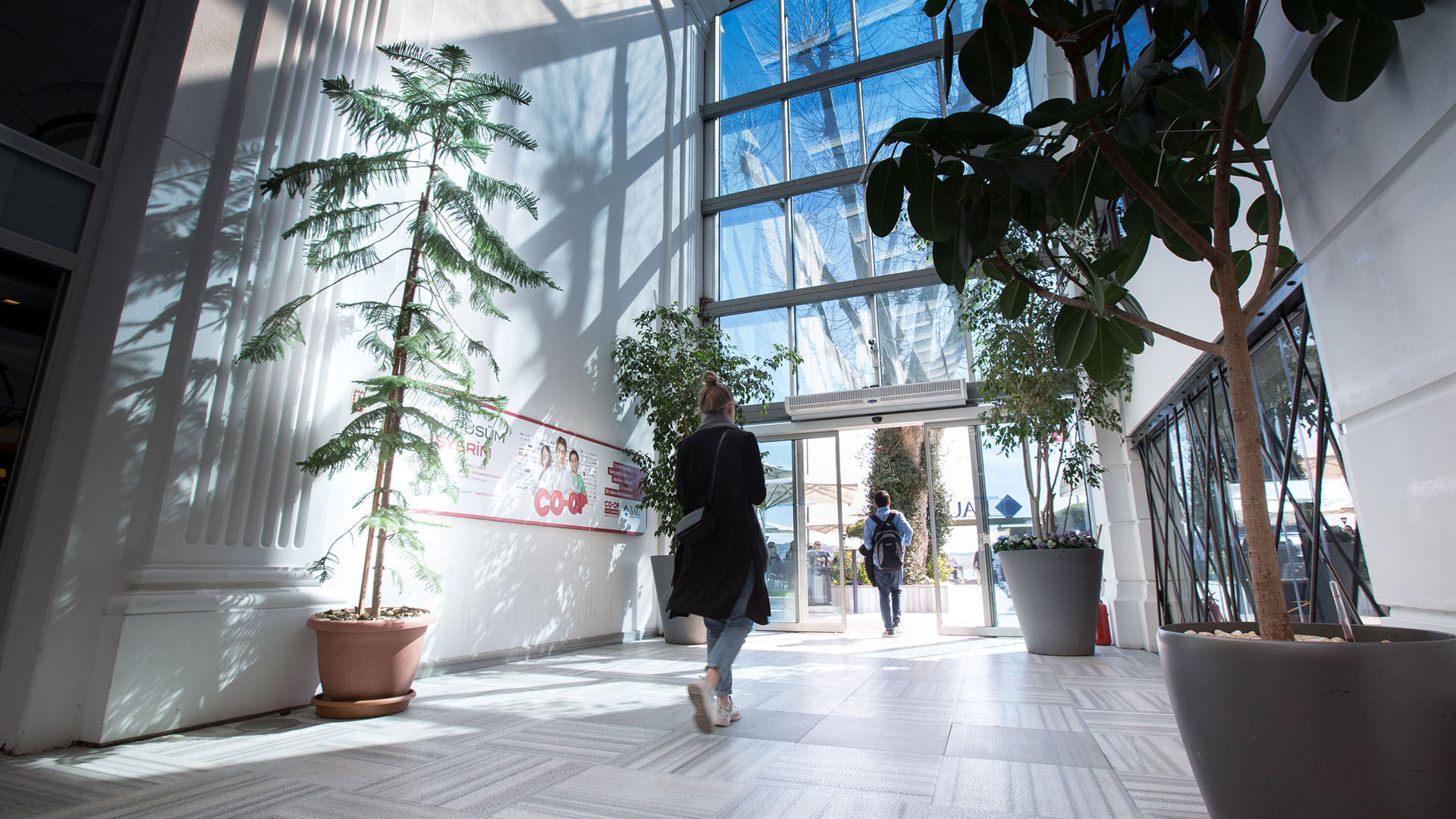 » Photos BAU Global